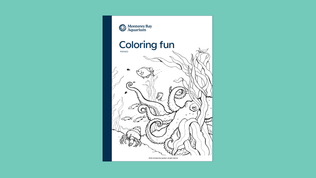 Ocean animal coloring pages | Monterey Bay Aquarium