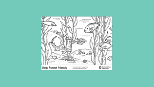 Ocean animal coloring pages | Monterey Bay Aquarium