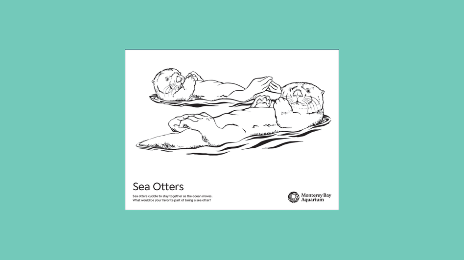 Sea otters coloring page | Monterey Bay Aquarium