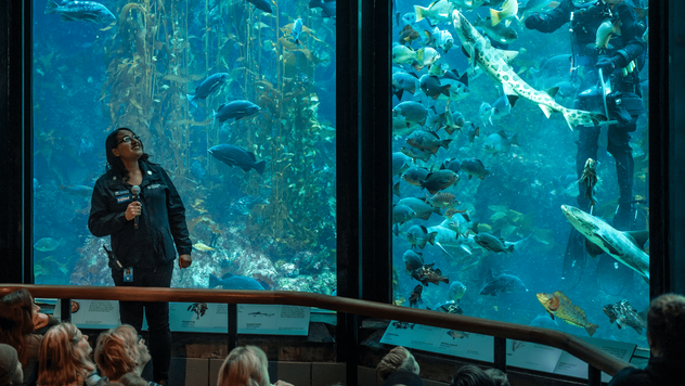 About the Aquarium | Monterey Bay Aquarium