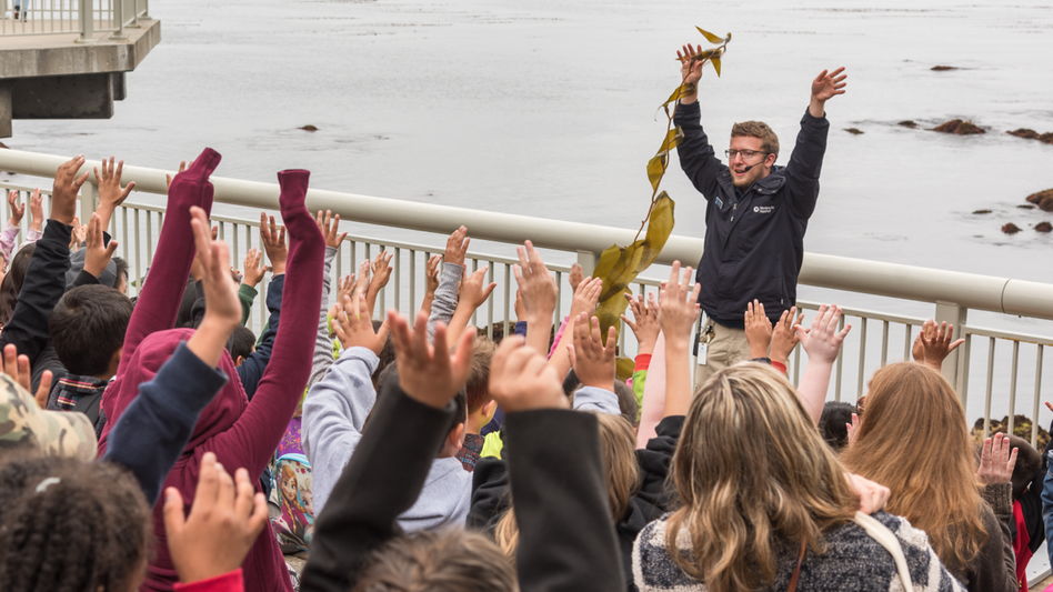 Plan your field trip | Monterey Bay Aquarium