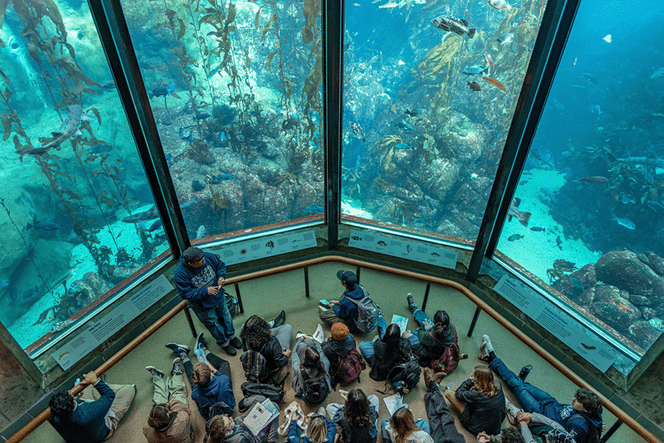 Book a field trip | Monterey Bay Aquarium