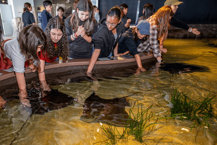 Book a field trip | Monterey Bay Aquarium