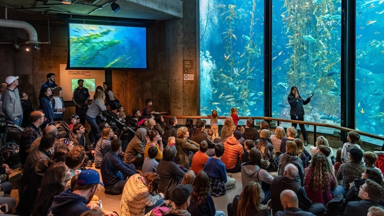 Hours & schedule | Monterey Bay Aquarium