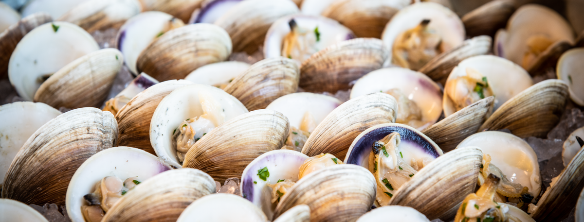Recipes | Monterey Bay Aquarium