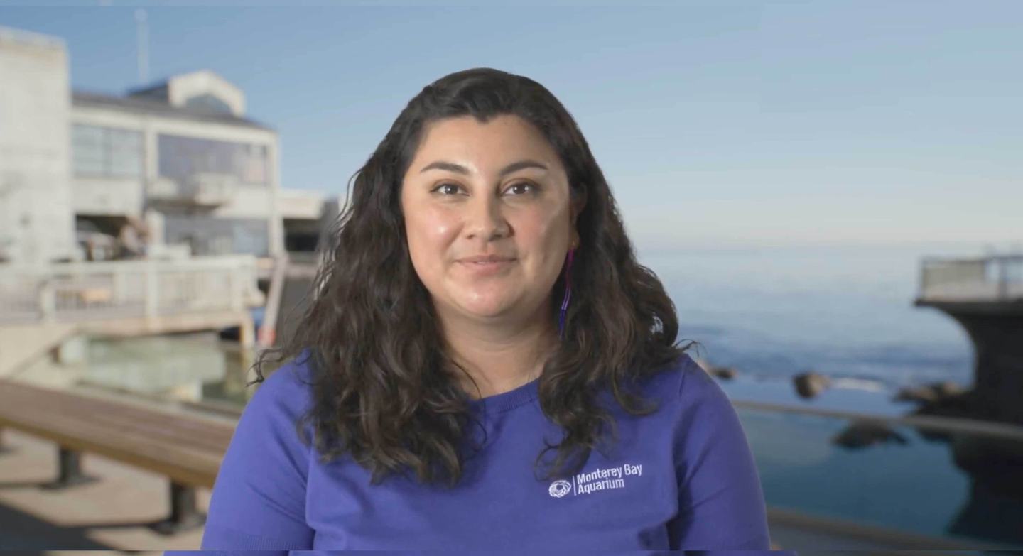 Plan your field trip | Monterey Bay Aquarium